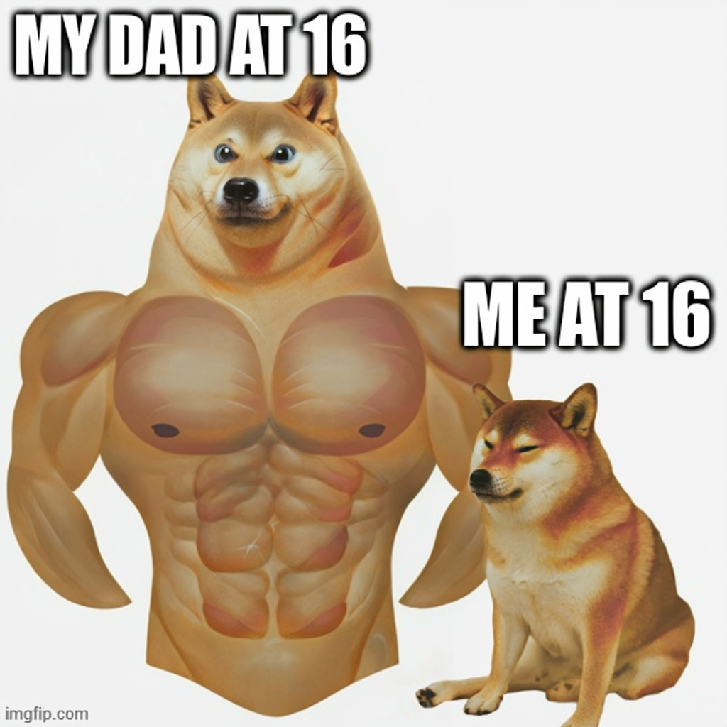 A humorous meme featuring two stylized Doge-themed illustrat... by João ...